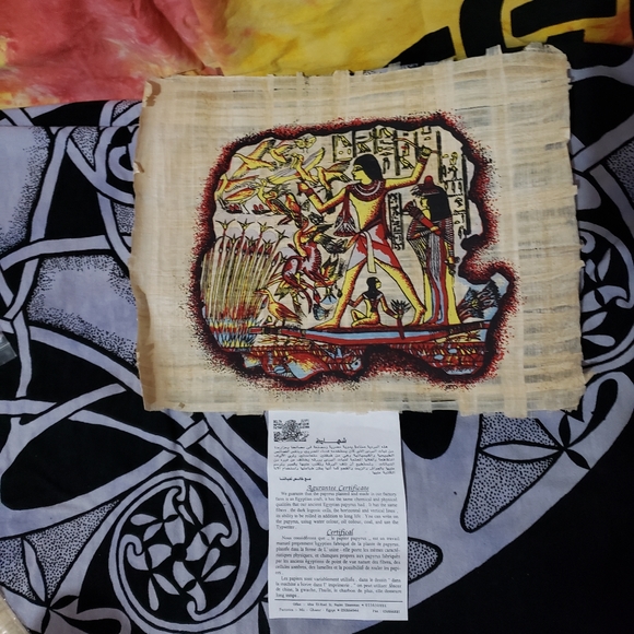 Handmade | Art | Vintage Egyptian Large Handpainted Papyrus With Coa Like New | Poshmark